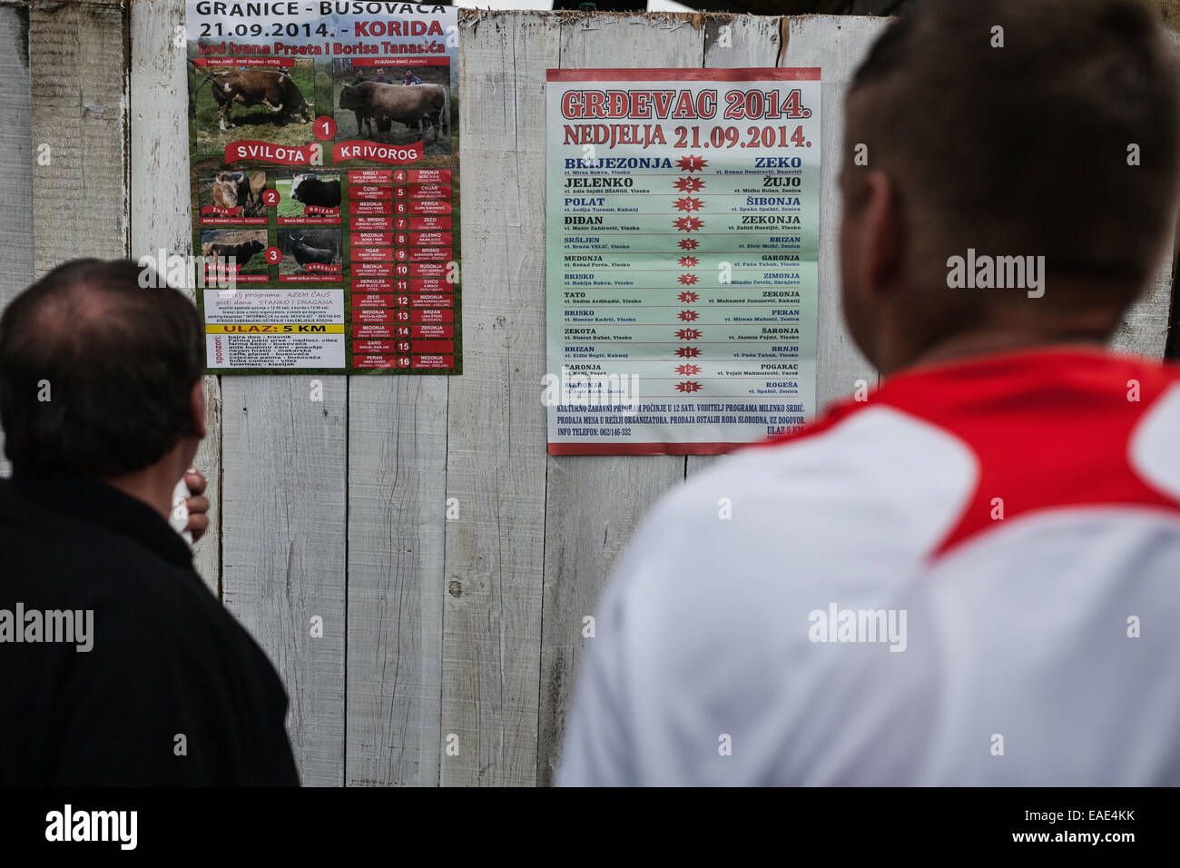 Spectators looks at posters for next bulls fights in town of Vitez ...