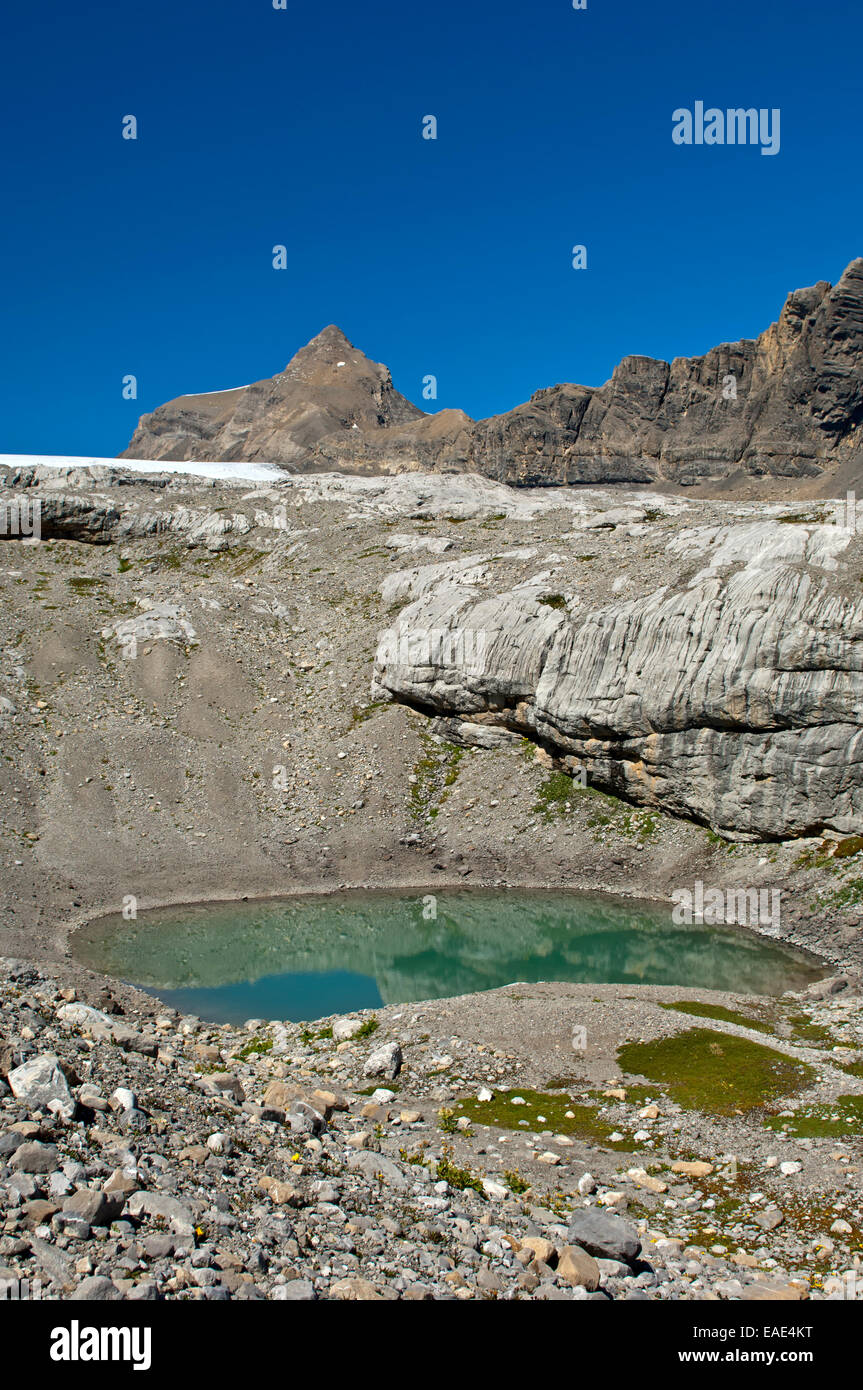 Lake of green meltwater in a doline or sinkhole in the end moraine of ...