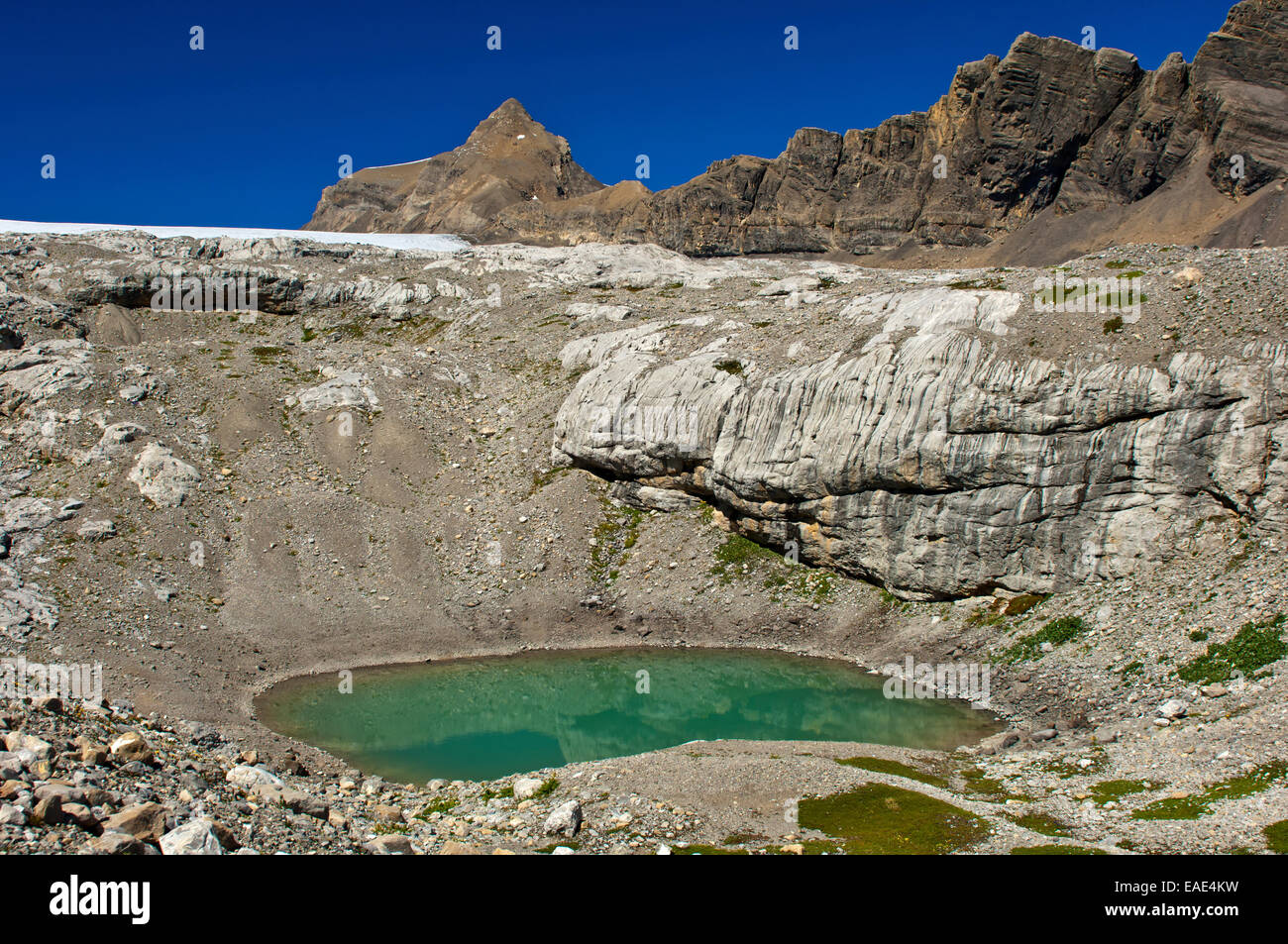 Lake of green meltwater in a doline or sinkhole in the end moraine of ...