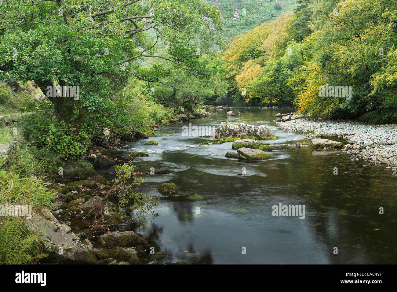 The river Glaslyn flows between the trees and rocks of the Aberglaslyn ...