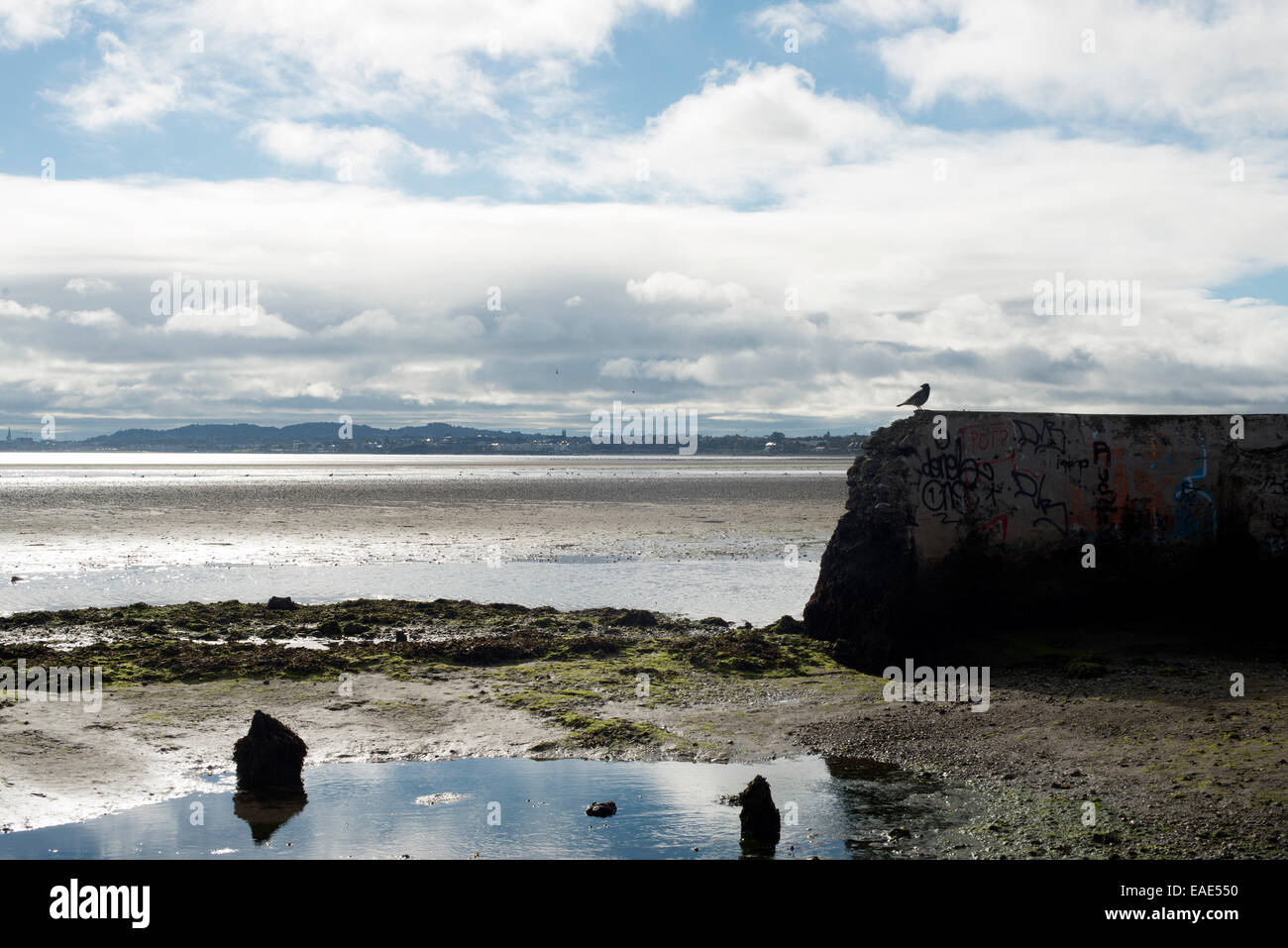 Water edge hi-res stock photography and images - Alamy