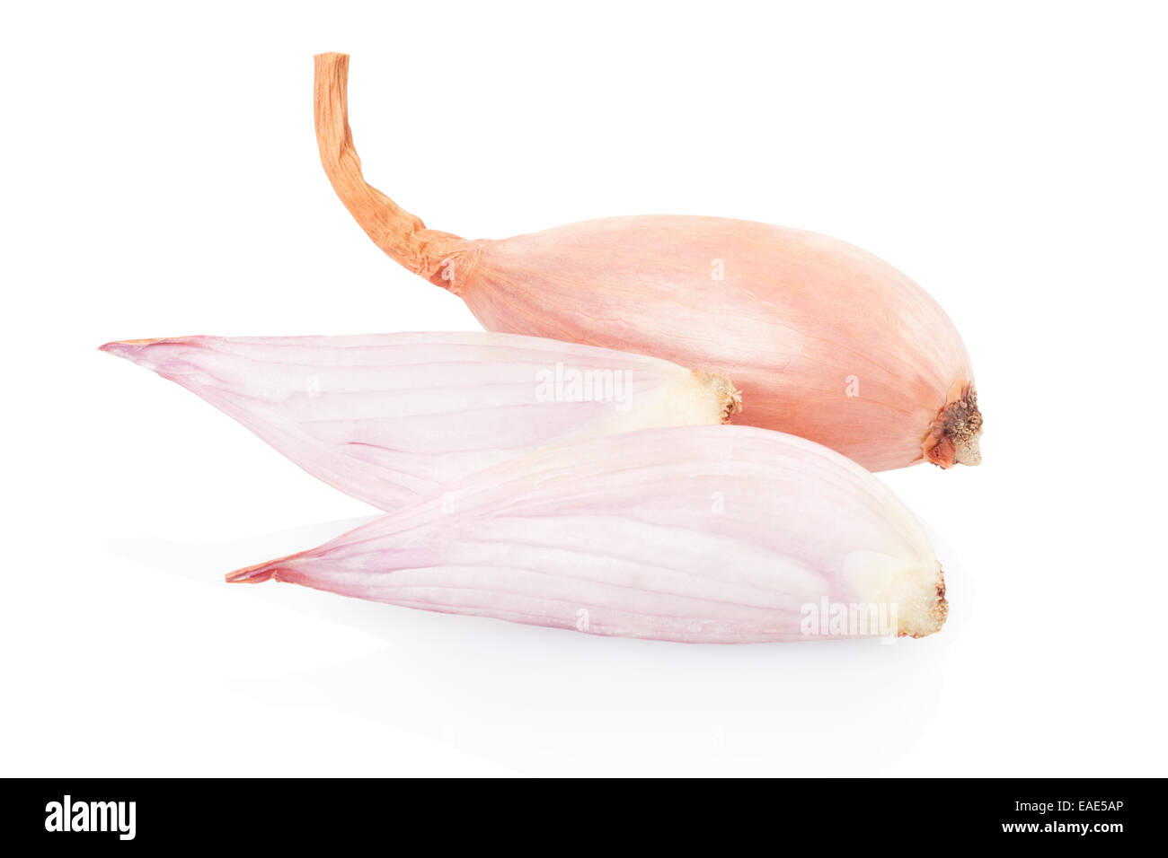 Shallot and half Stock Photo - Alamy