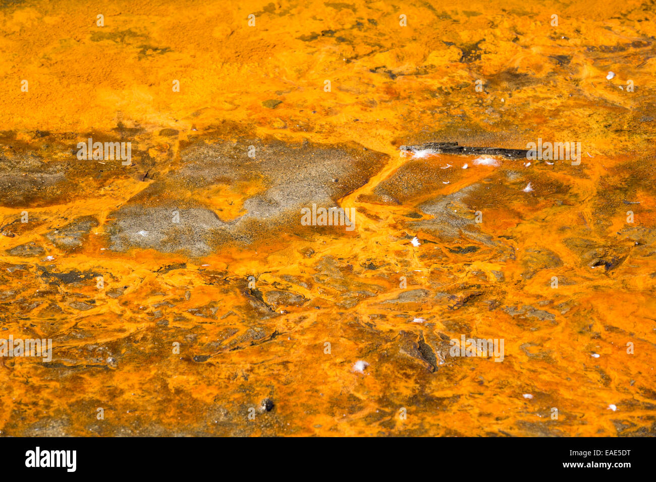 Mud sludge hi-res stock photography and images - Alamy
