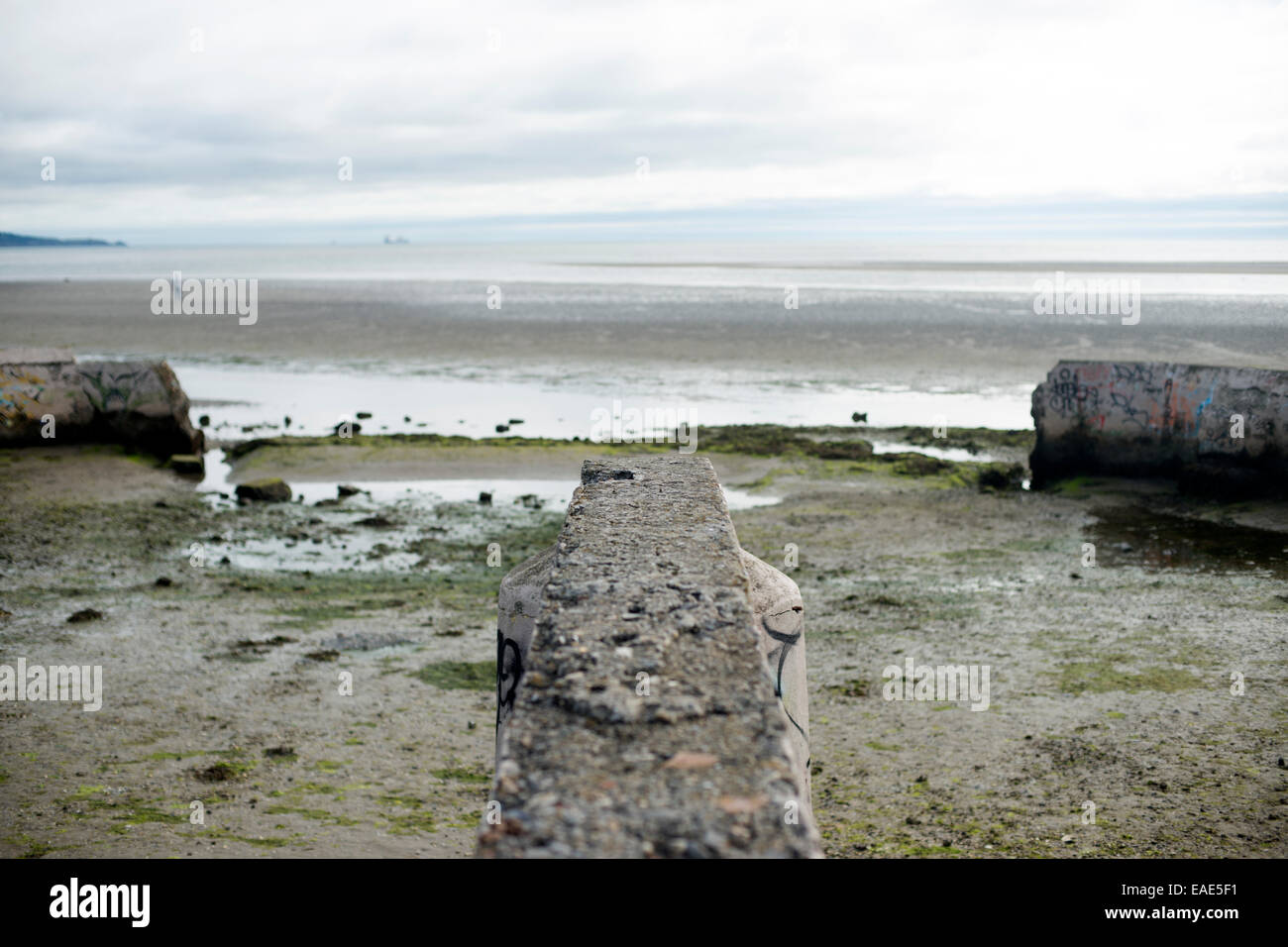 Water edge hi-res stock photography and images - Alamy