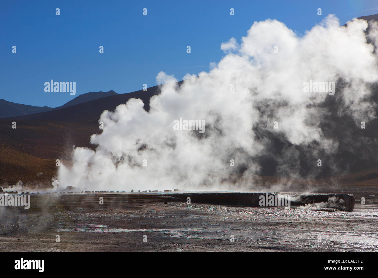 Steam rising from a geyser at El Tatio, the Atacama desert, Chile Stock ...
