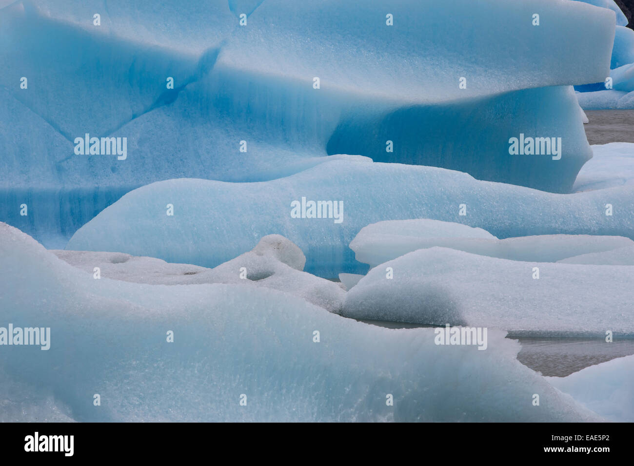 Ice fragments in the Grey Lake, Patagonia, Chile Stock Photo - Alamy