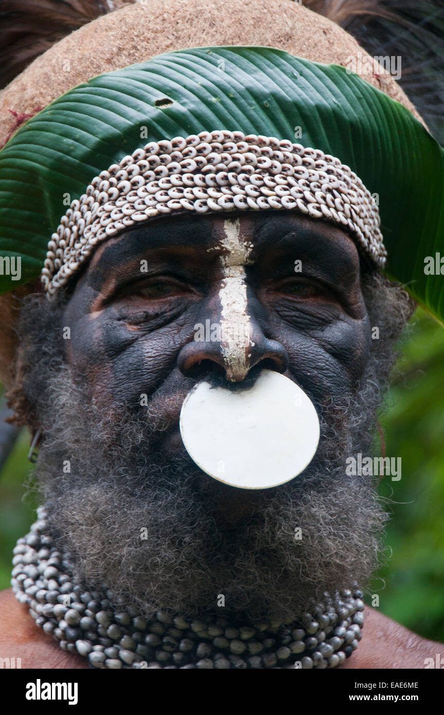 Tribal chief wearing a traditional dress, Highlands Region, Papua New ...