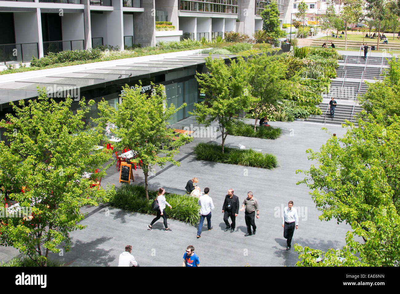 One central park development homes apartments and units in Chippendale ...