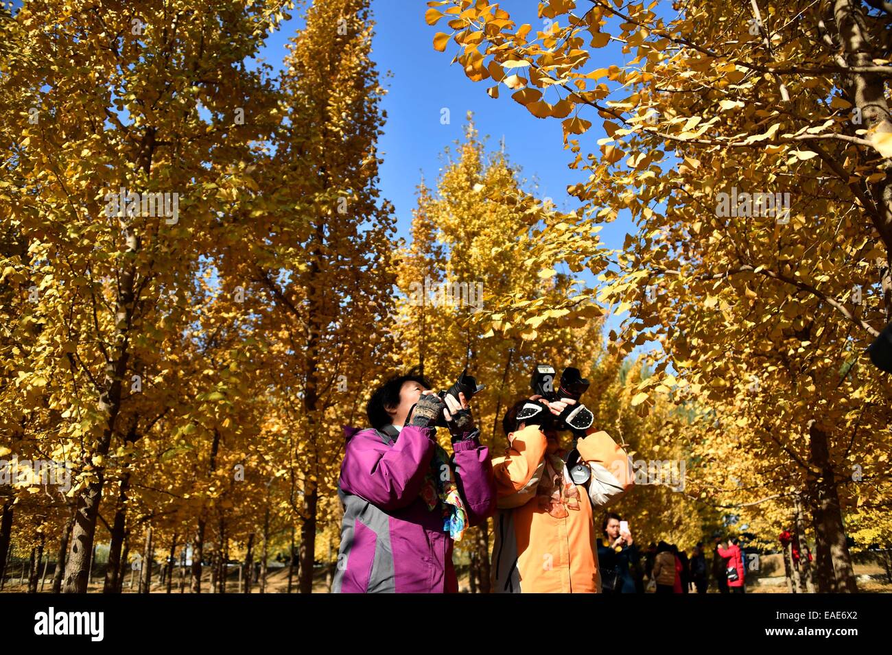 Ji'nan, China's Shandong Province. 13th Nov, 2014. Visitors take photos ...