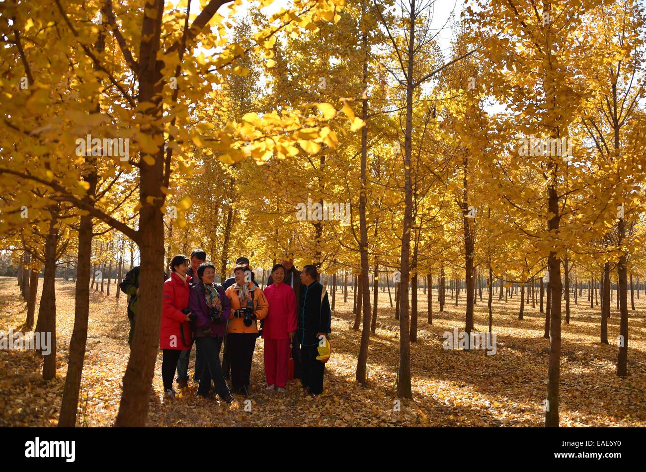 Ji'nan, China's Shandong Province. 13th Nov, 2014. Citizens pose for a ...