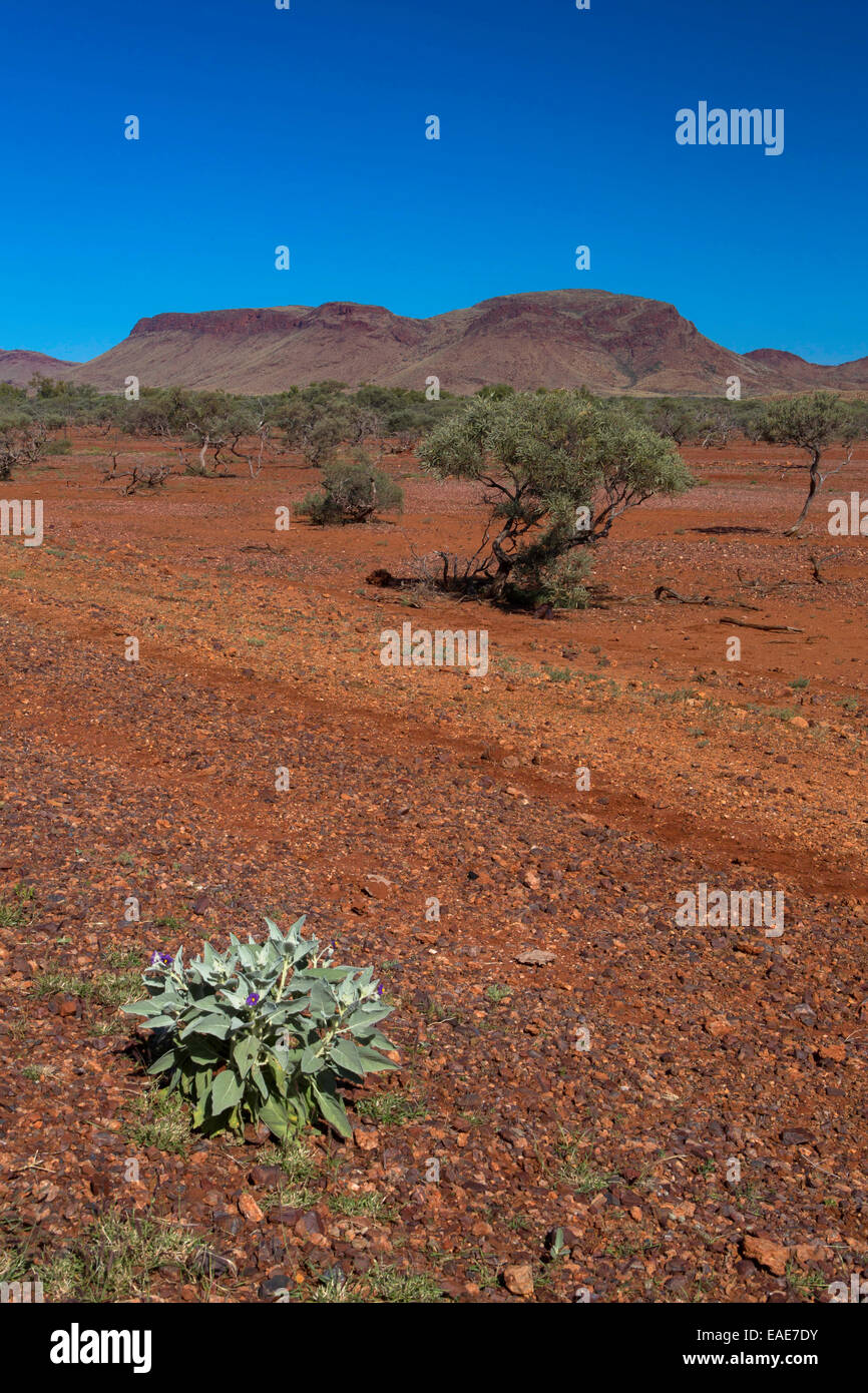 465 road hi-res stock photography and images - Alamy