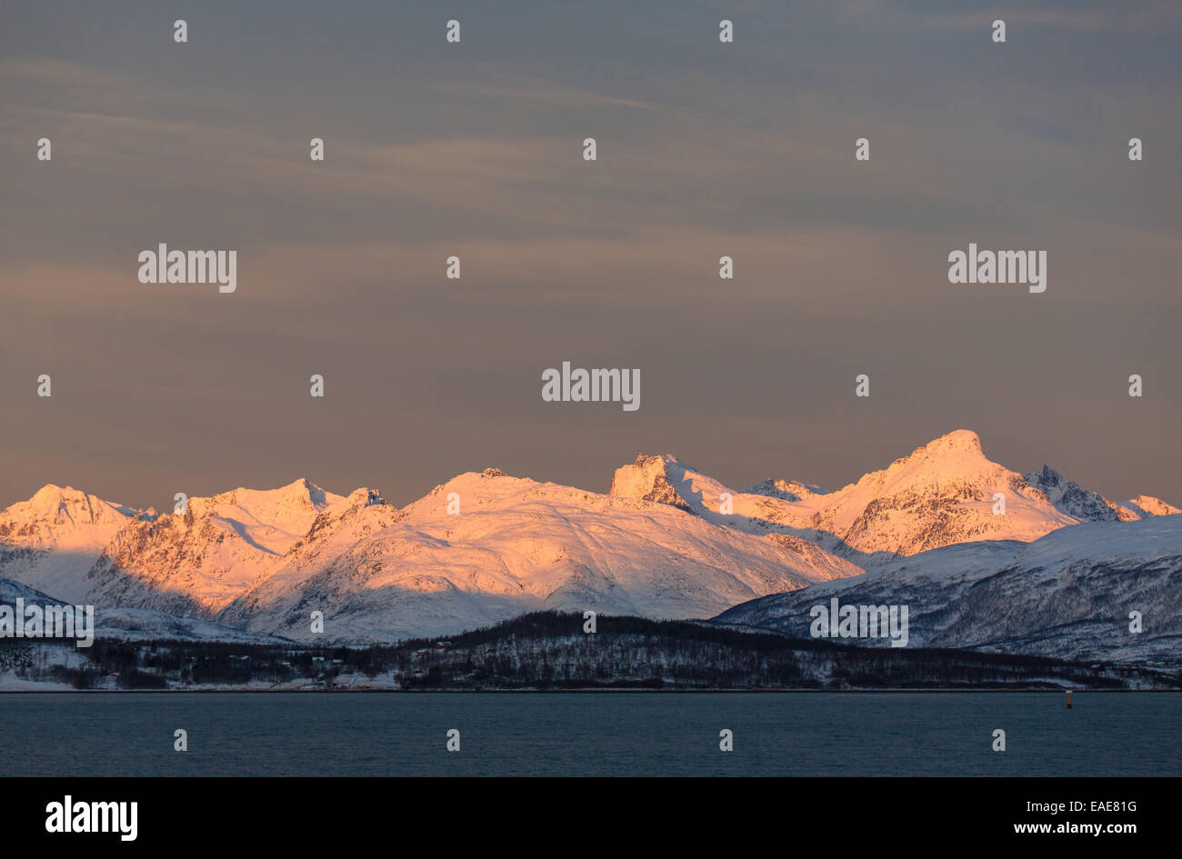 Insel kvaloya hi-res stock photography and images - Alamy