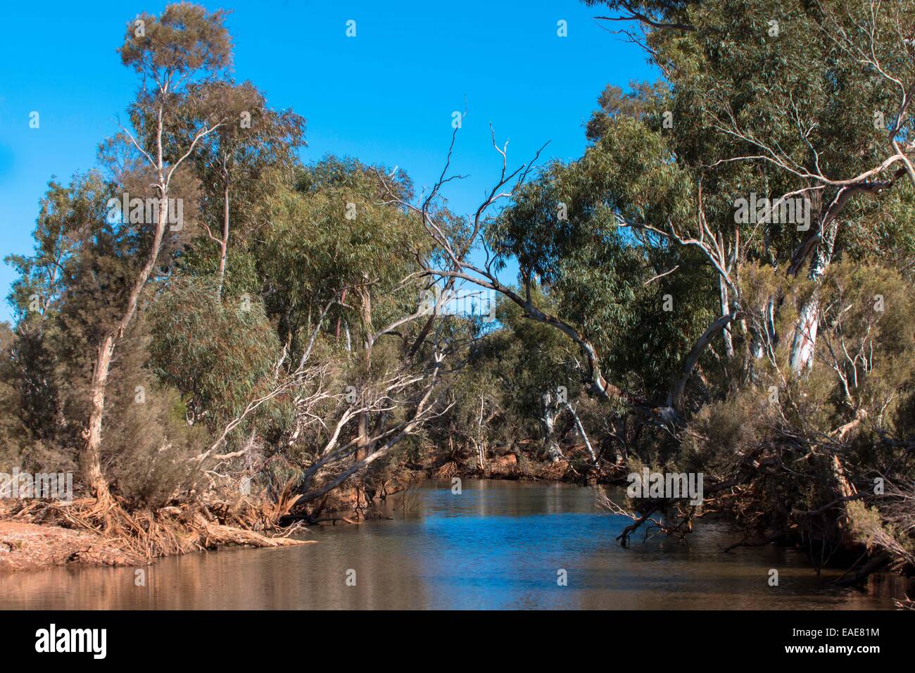 Gascoyne river in Western Australia Stock Photo - Alamy