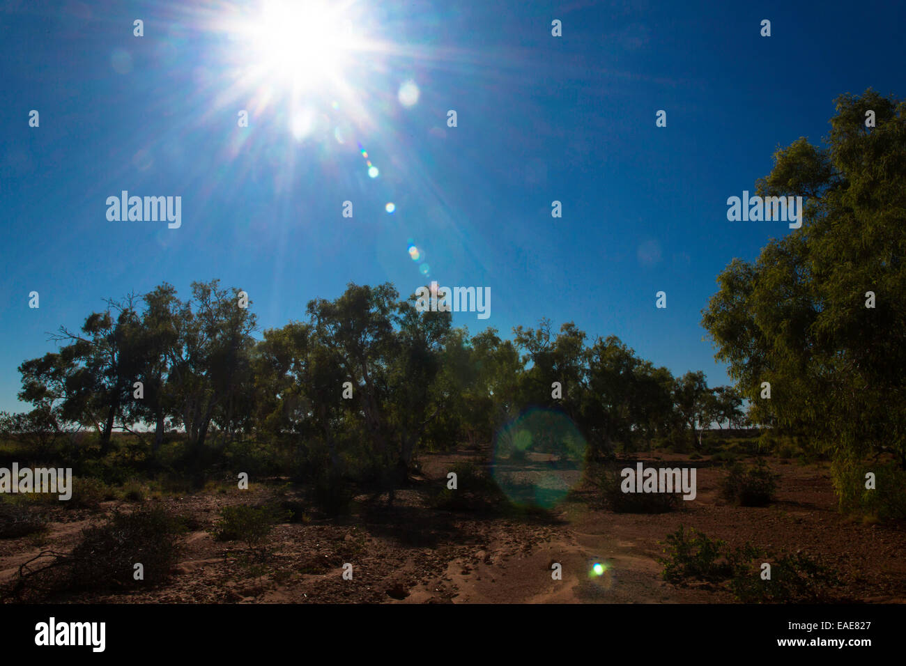 heat in Australian outback Stock Photo - Alamy