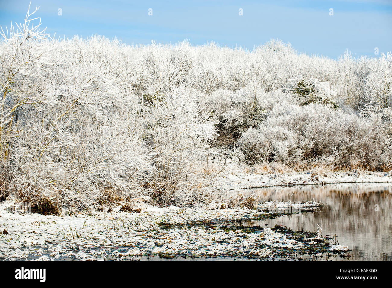 Beautiful sunny day in the winter Stock Photo - Alamy