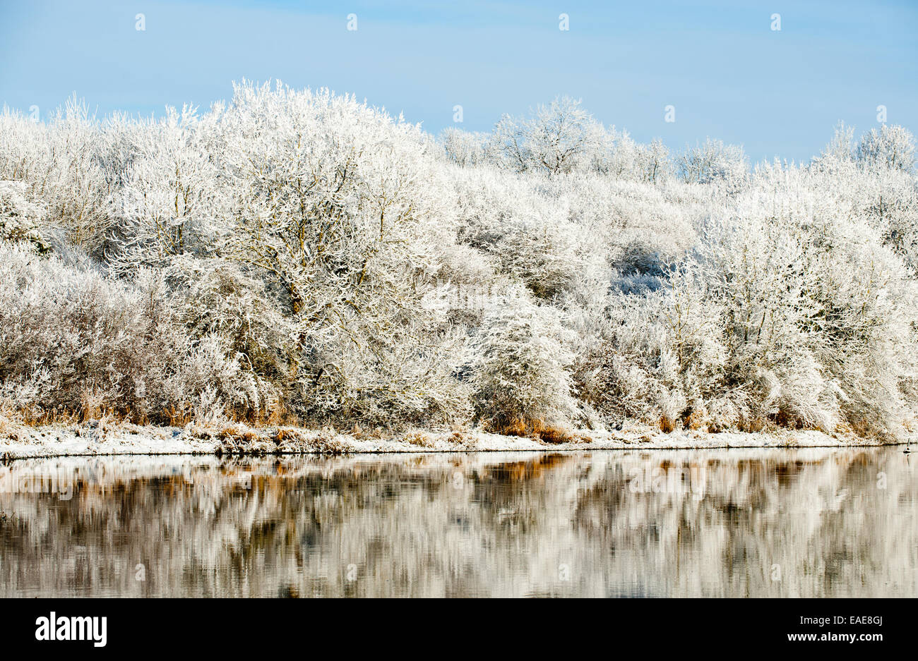 Beautiful sunny day in the winter Stock Photo - Alamy