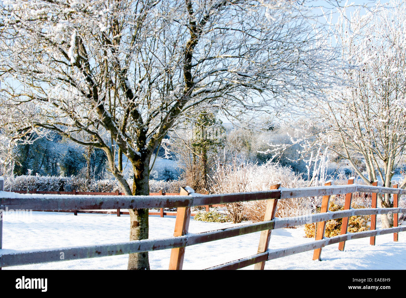 Beautiful sunny day in the country Stock Photo - Alamy