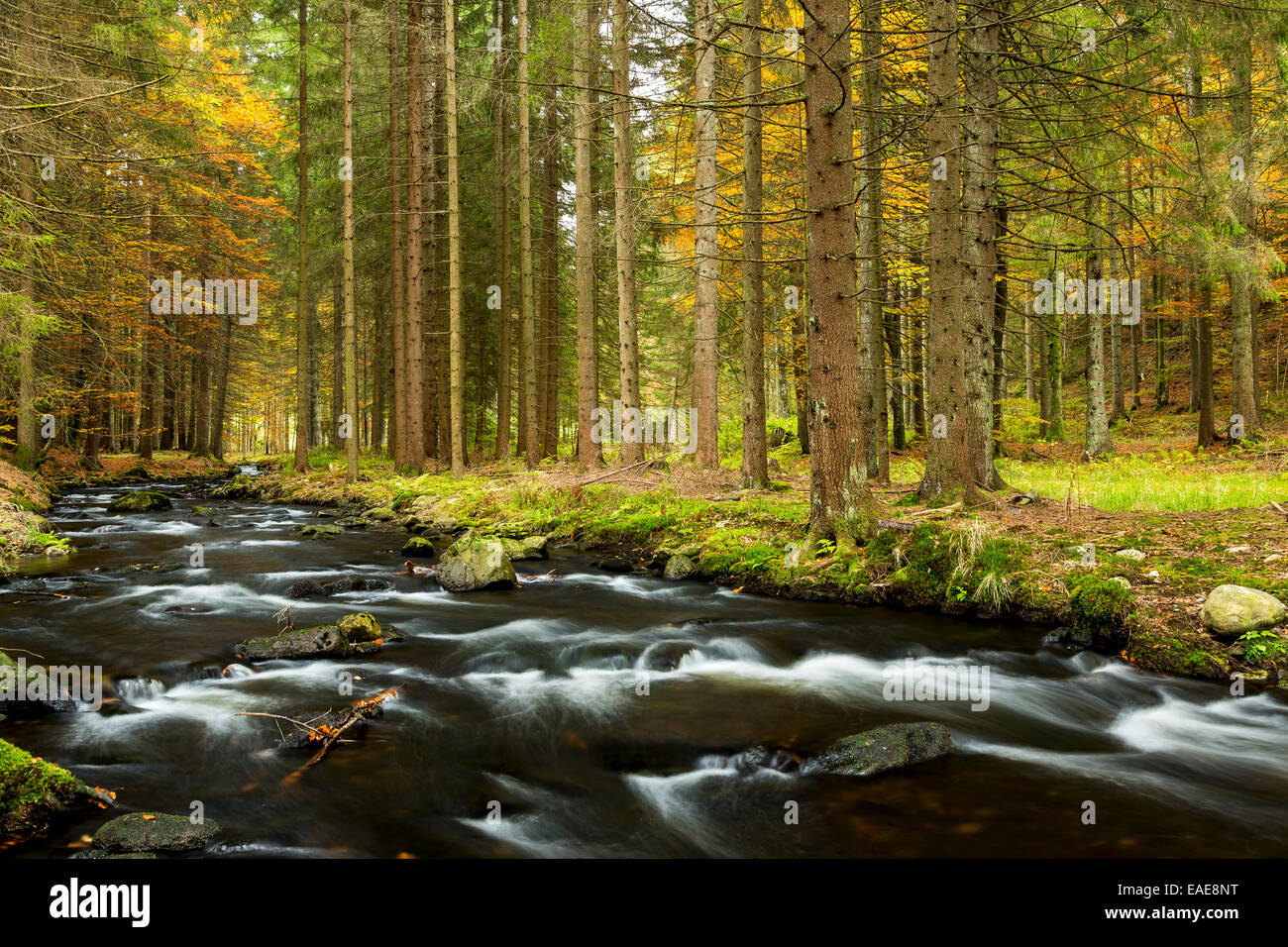 Regen river hi-res stock photography and images - Alamy