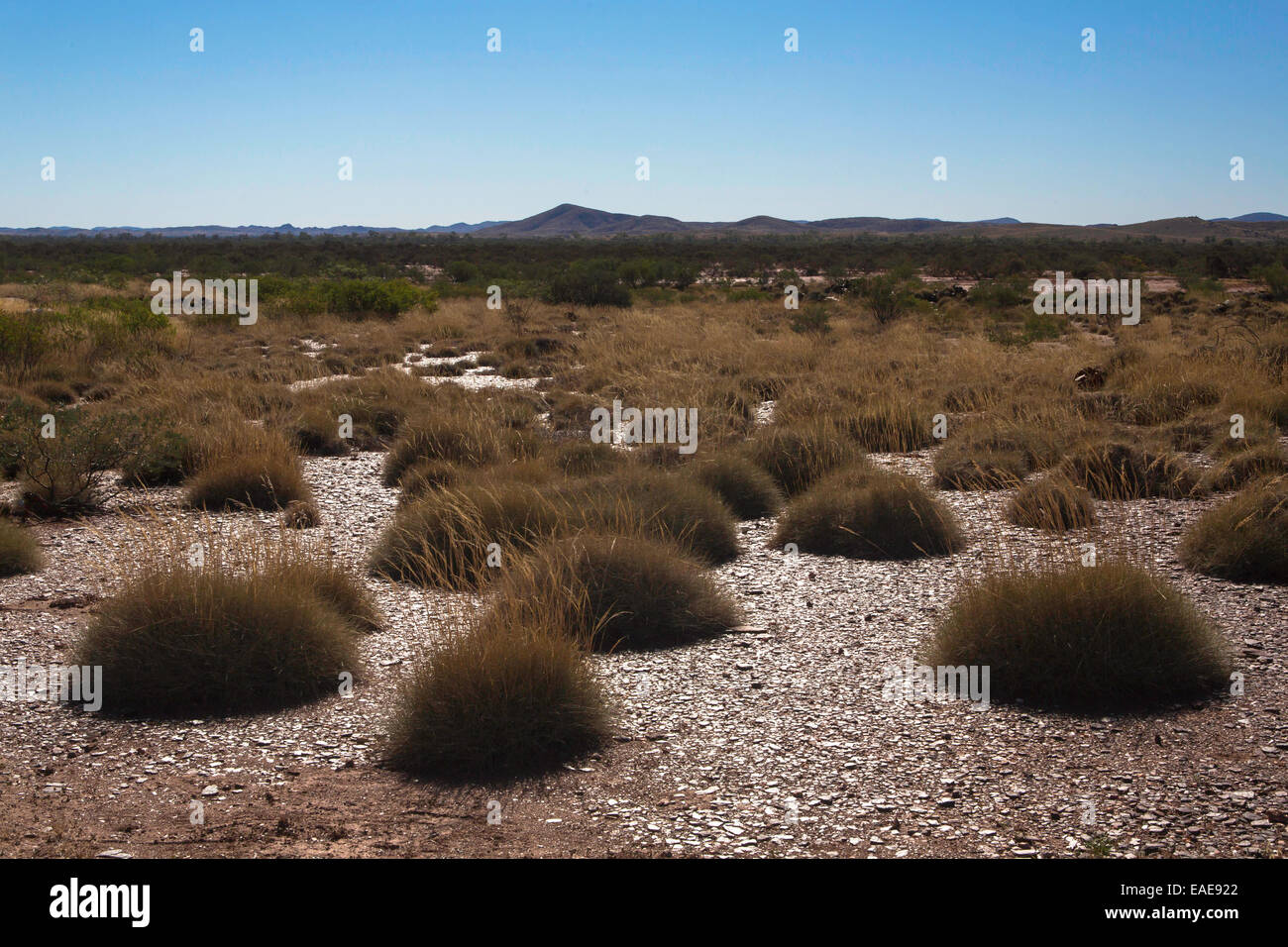 Dry Landscape In Australian Outback Stock Photo - Alamy