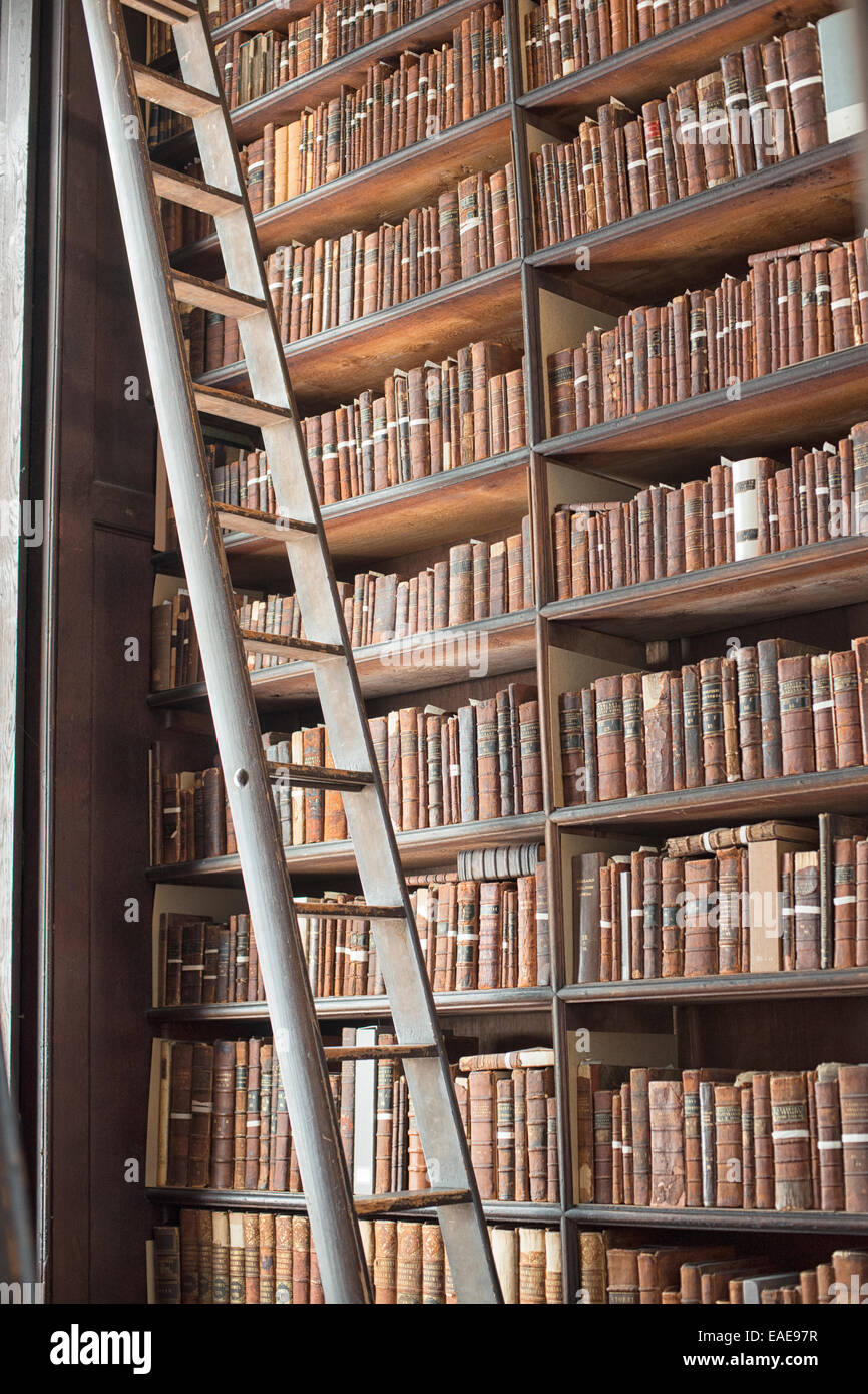 long room particular dublin old library Stock Photo - Alamy