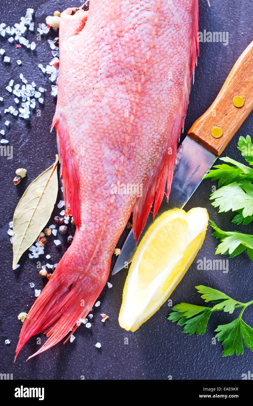 Ocean perch hi-res stock photography and images - Alamy