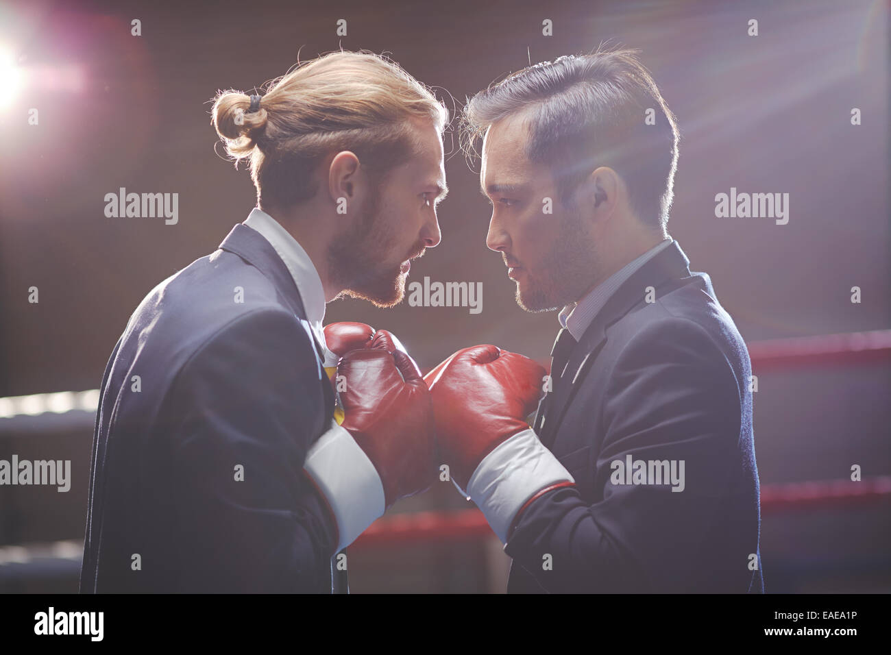 Aggressive business boxers looking at one another with anger Stock ...