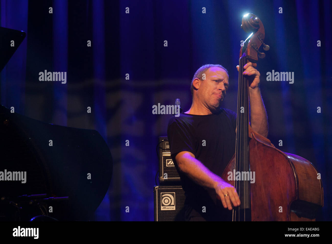 Israeli bassist Avishai Cohen performing with his trio on stage at the ...
