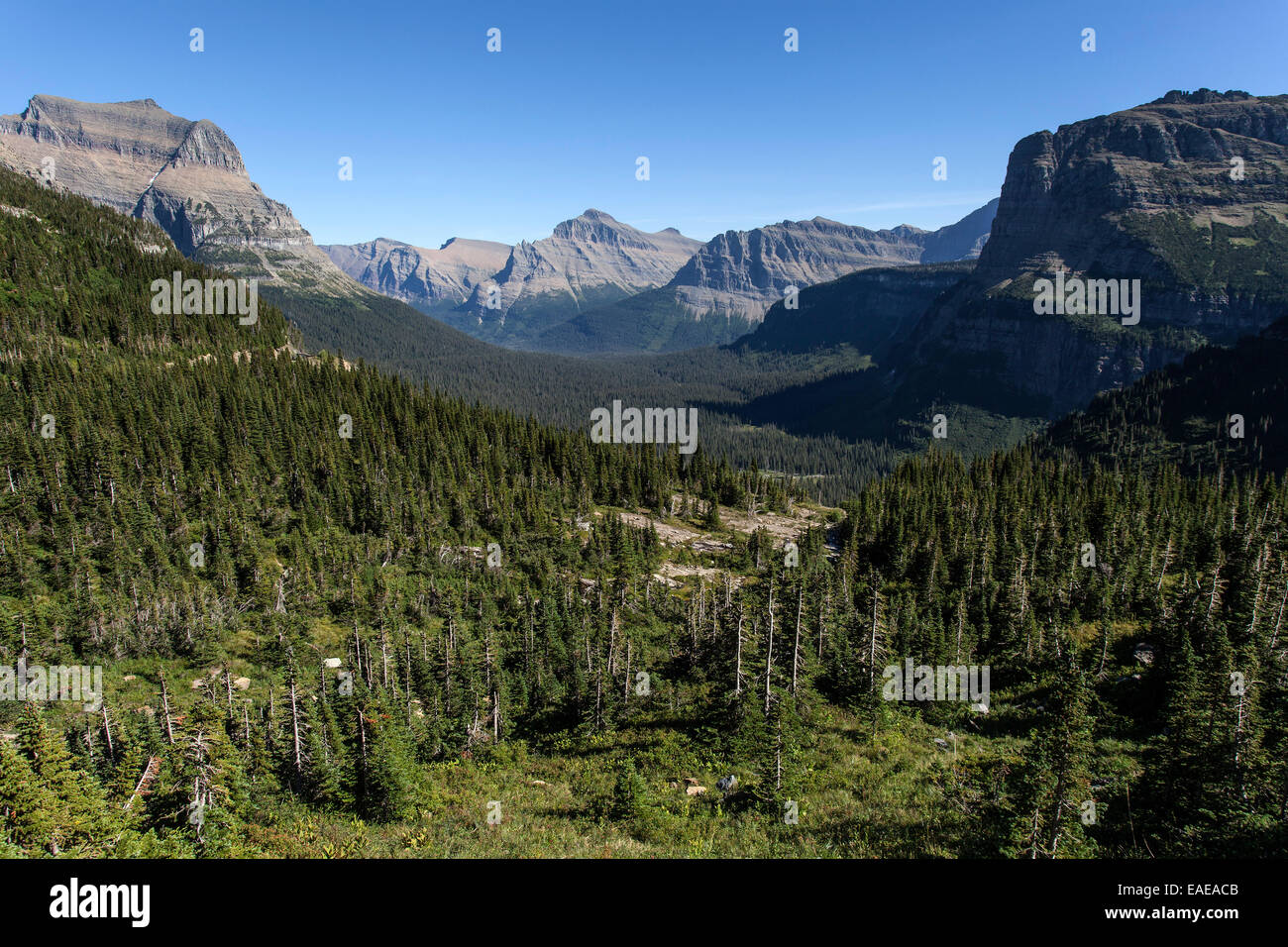 Mountains in glacier national park hi-res stock photography and images ...