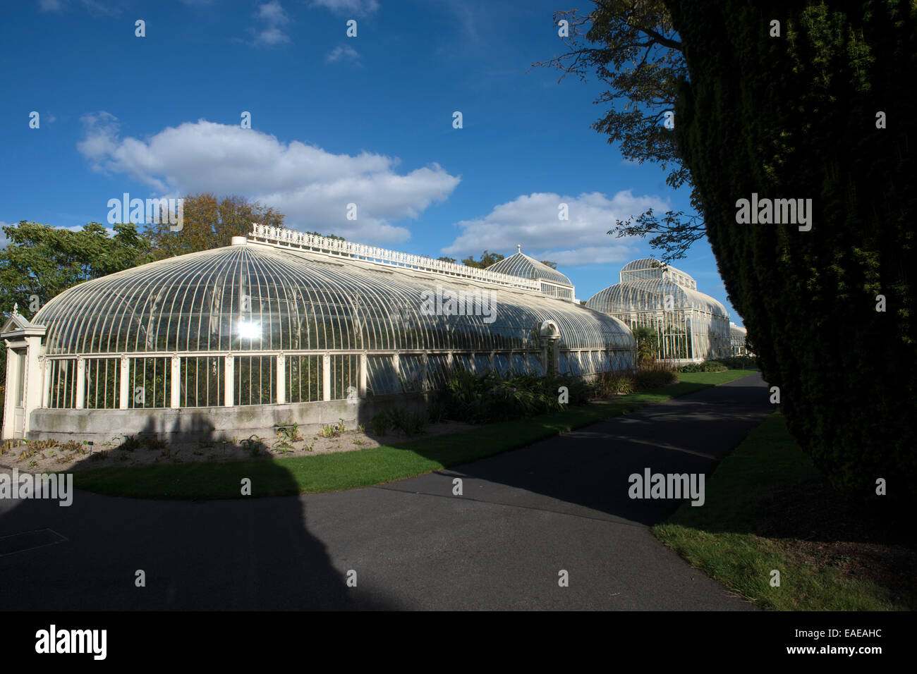 Old greenhouses hi-res stock photography and images - Alamy