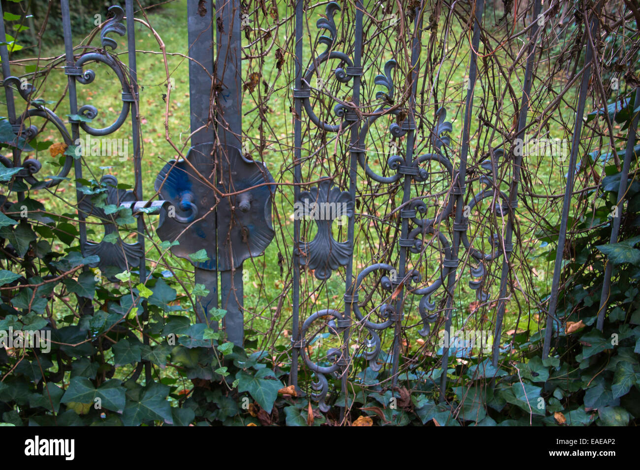 overgrown garden gate Stock Photo - Alamy