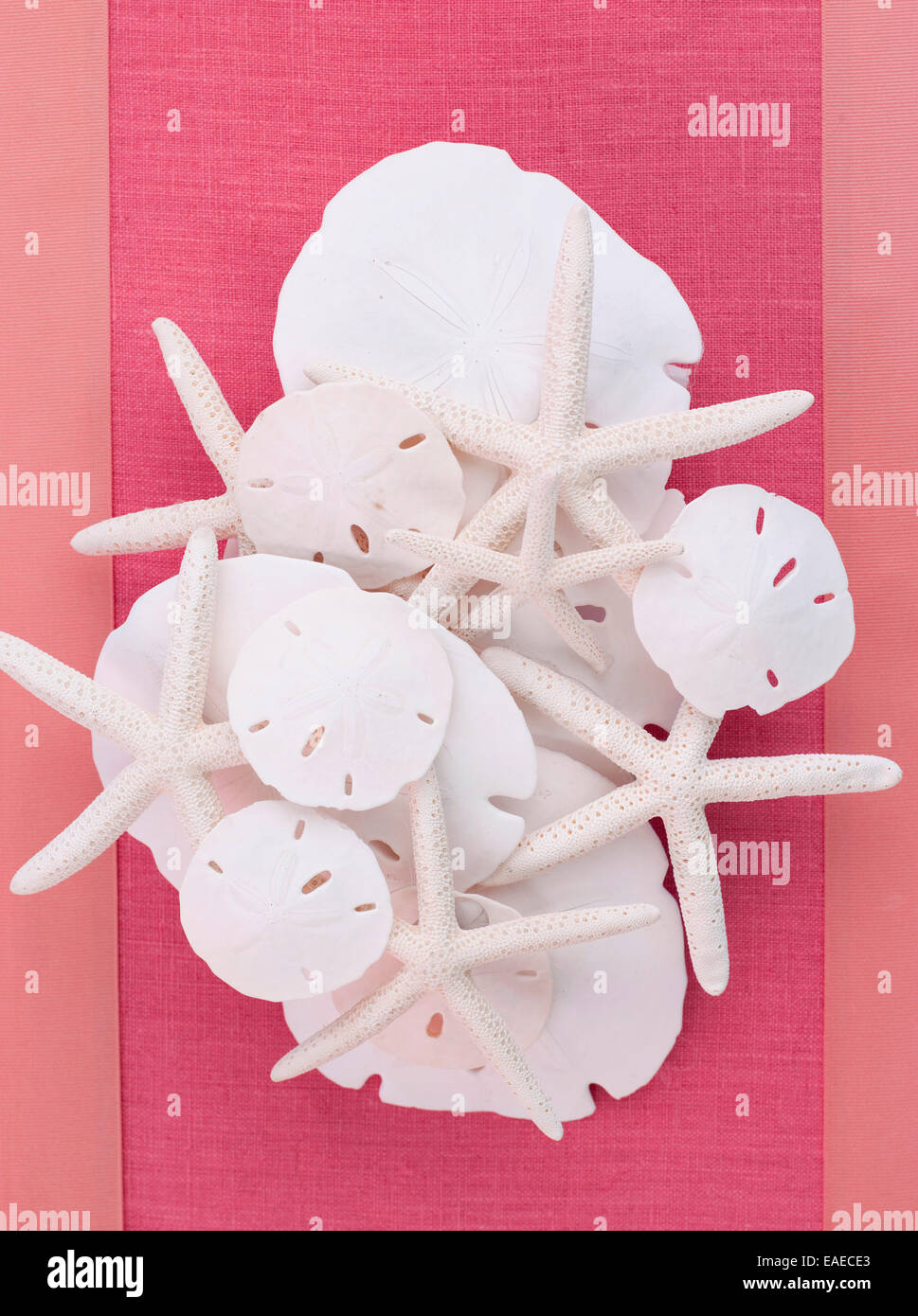 table centerpiece made of sand dollars and starfish Stock Photo - Alamy