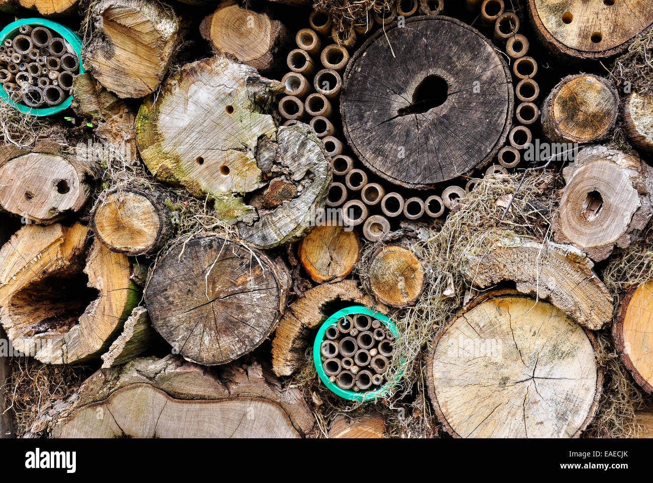 Bug hotel (Insect Hotel). Stack of logs and natural materials forming a ...