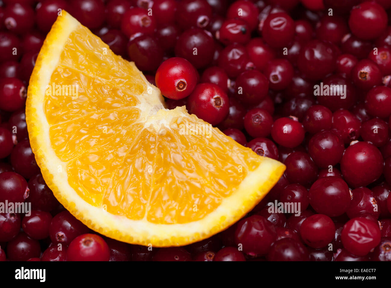 Orange slice with cranberry background. Adobe RGB Stock Photo - Alamy