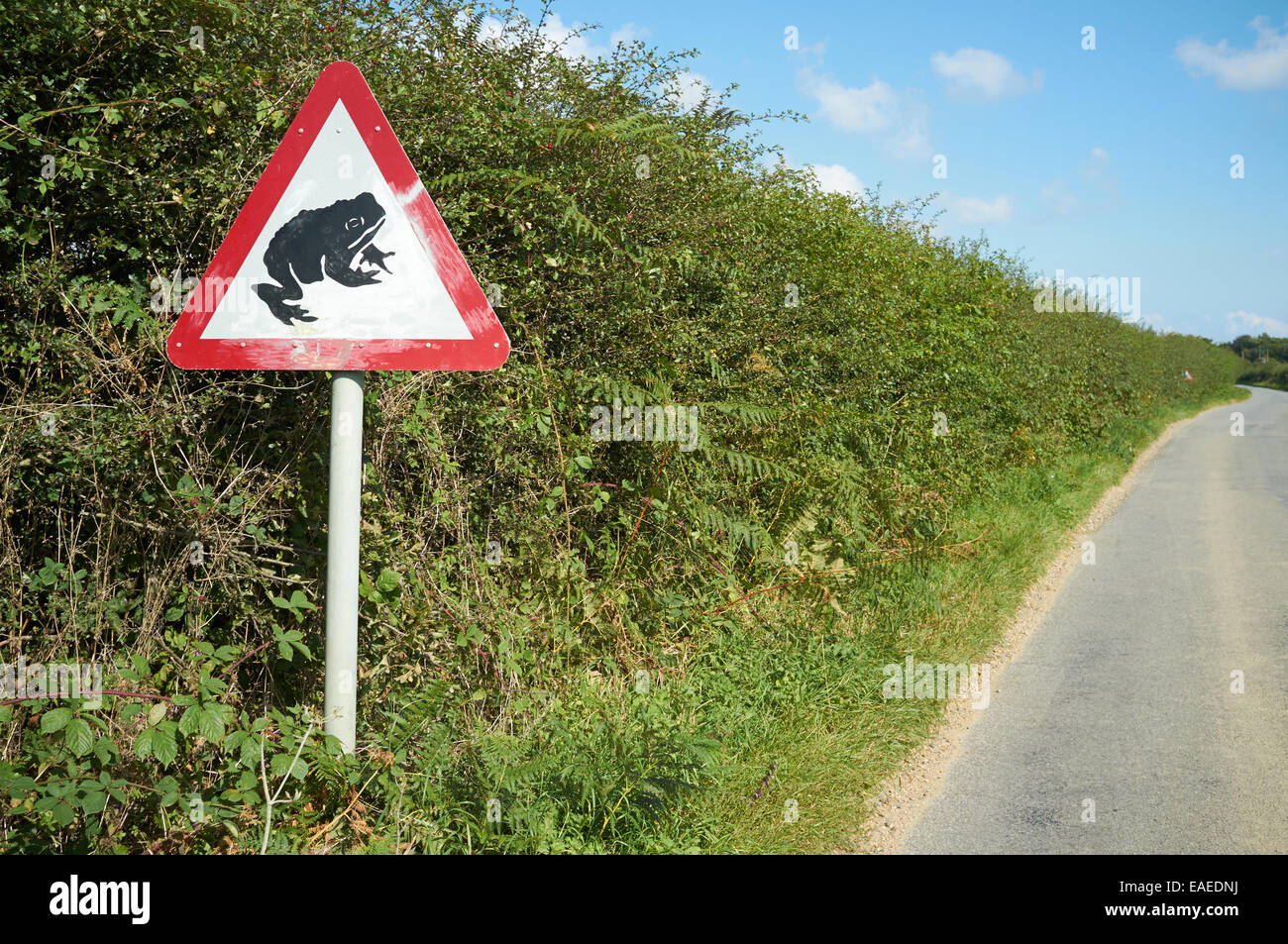 Frog crossing warning road traffic sign Stock Photo - Alamy