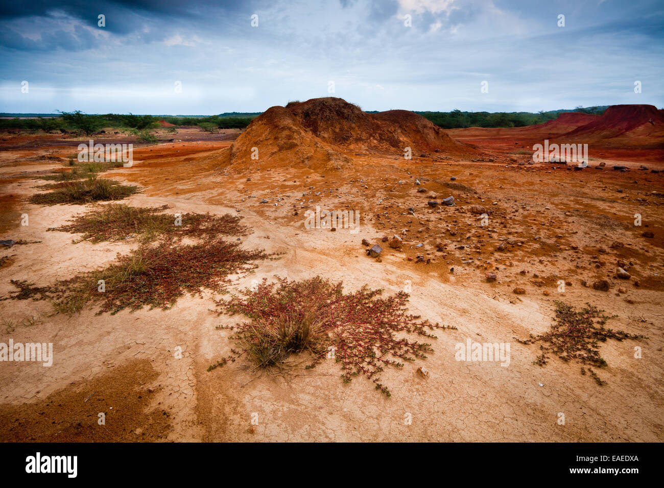 Eroded soil in Sarigua national Park (desert) in the Herrera province ...