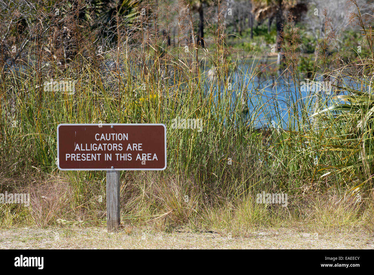 Alligator warning sign hi-res stock photography and images - Alamy