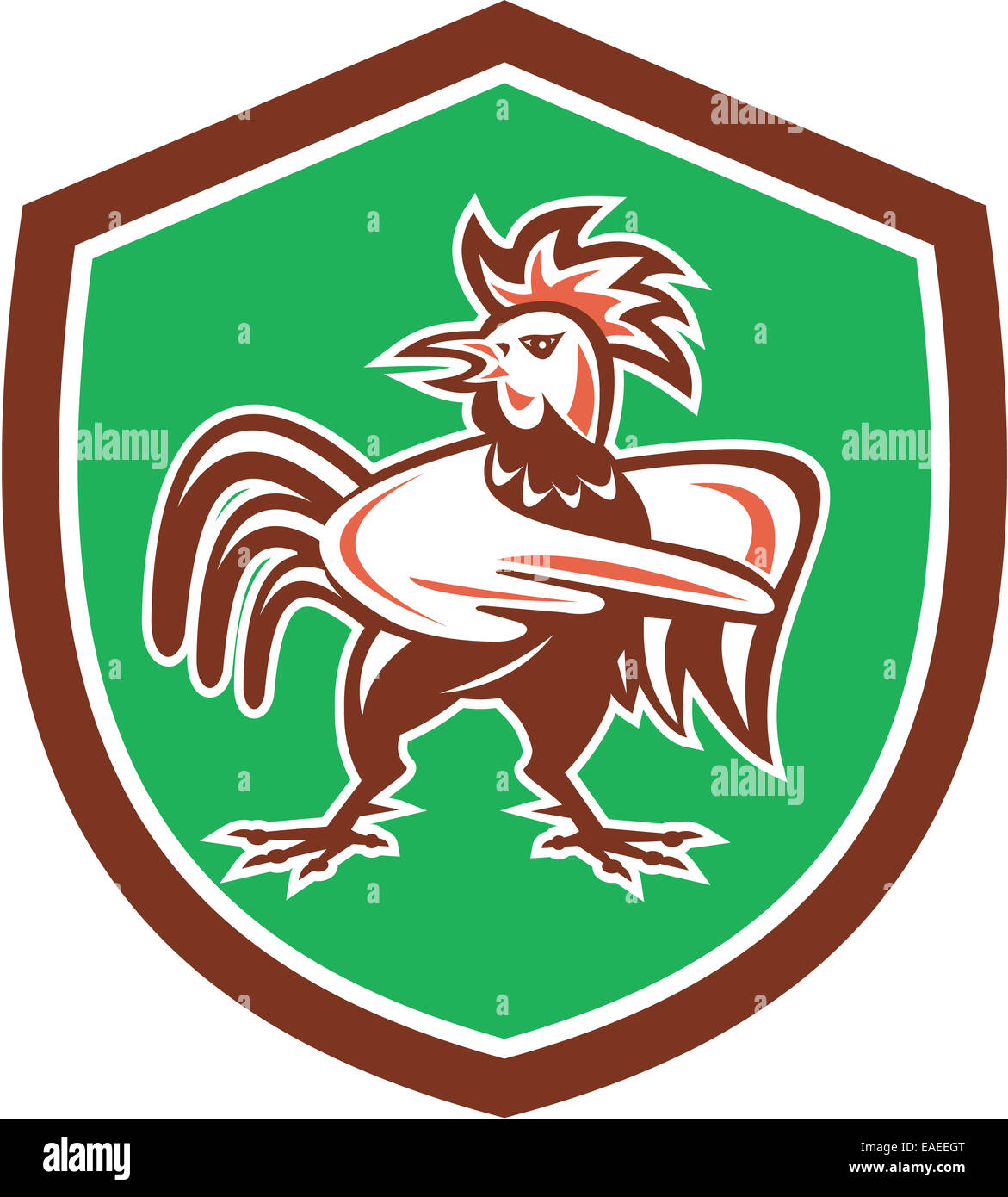 Illustration of a chicken rooster angry pointing to the side set inside ...
