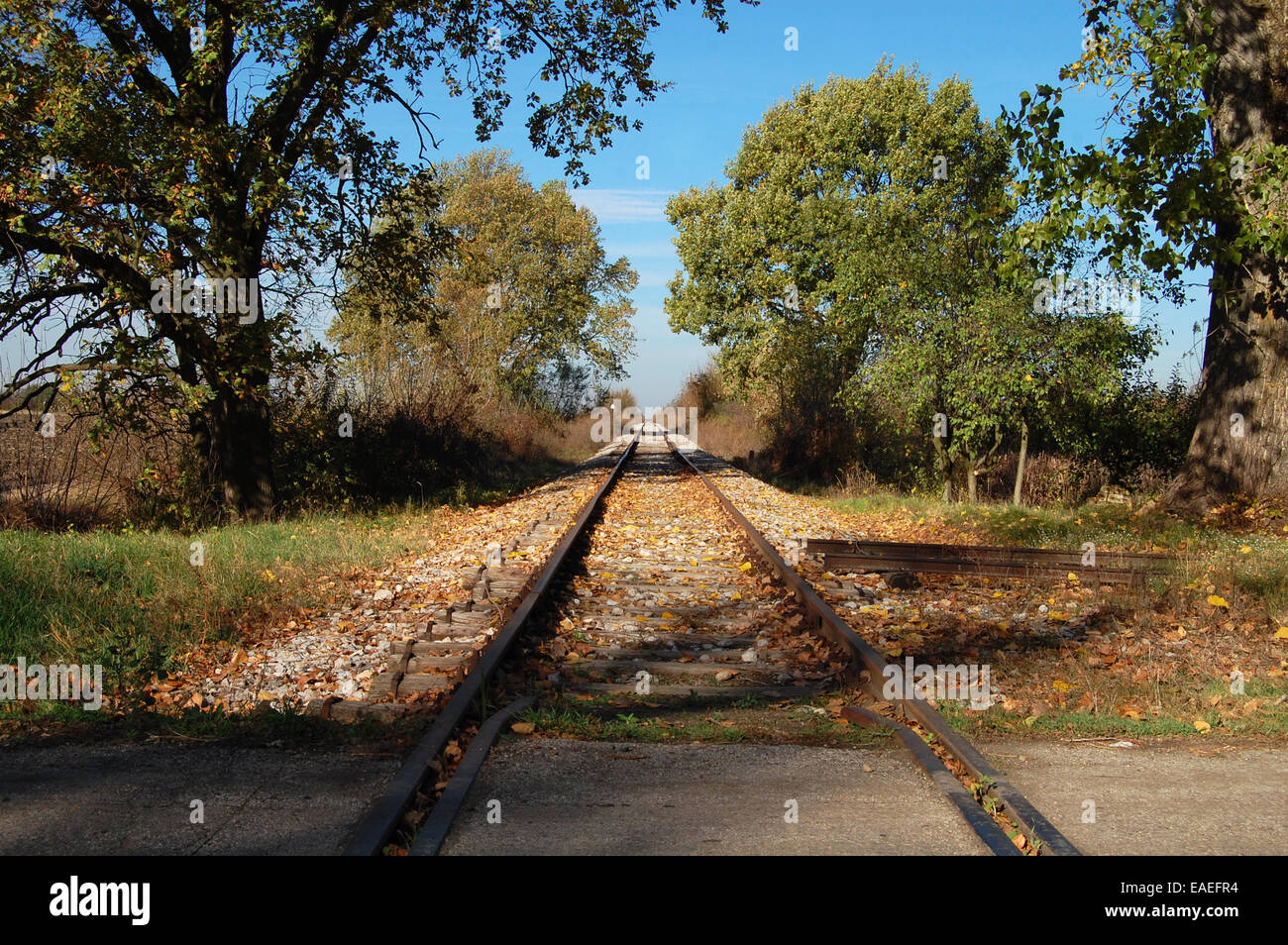 One of closed railway lines in Banat in Serbia, where traffic was ...