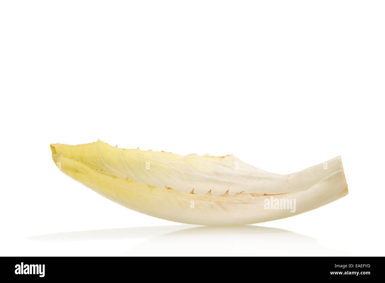 fresh endive leaf over white background Stock Photo - Alamy