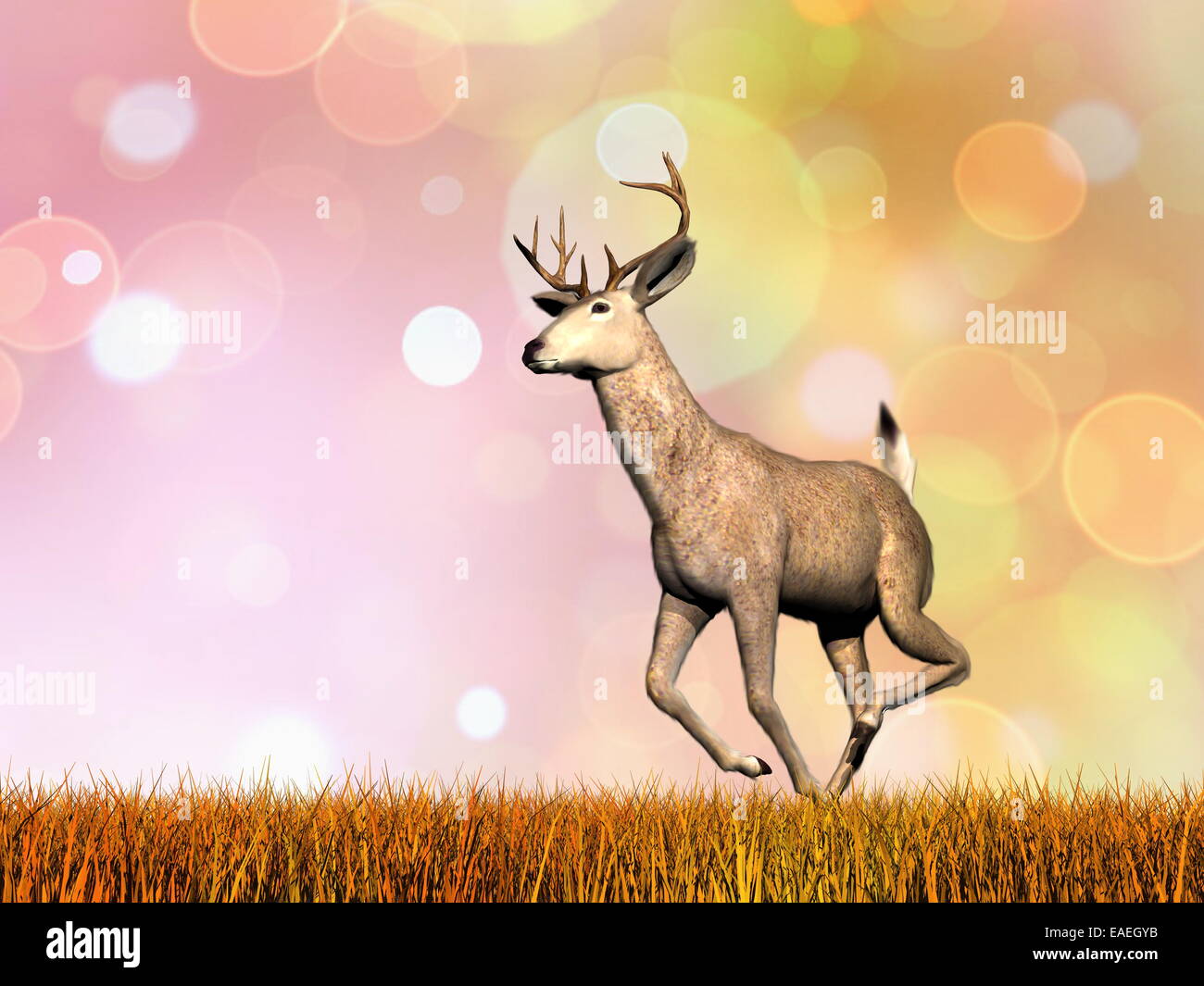 Hunting deer running hi-res stock photography and images - Alamy