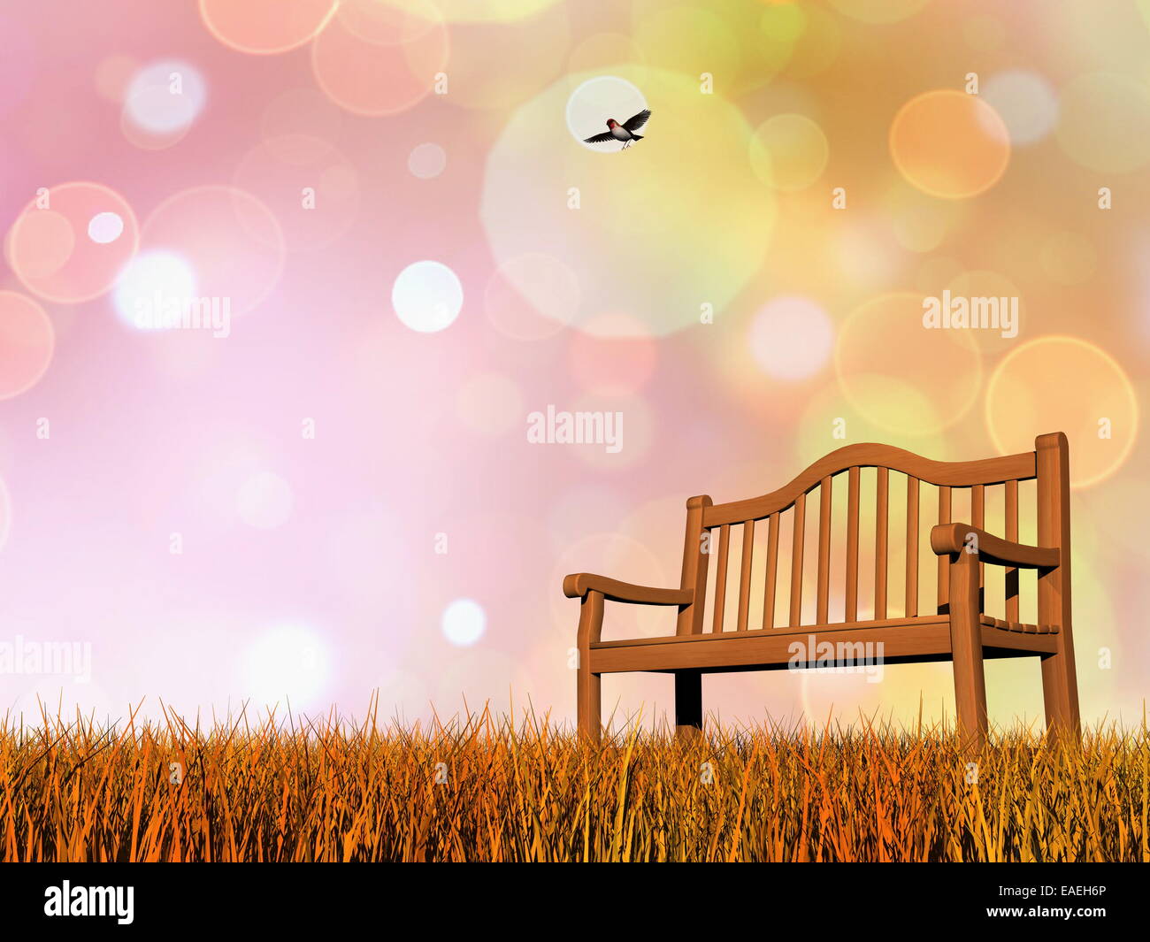 Simple wooden bench and flying bird in autumnal colorful background ...