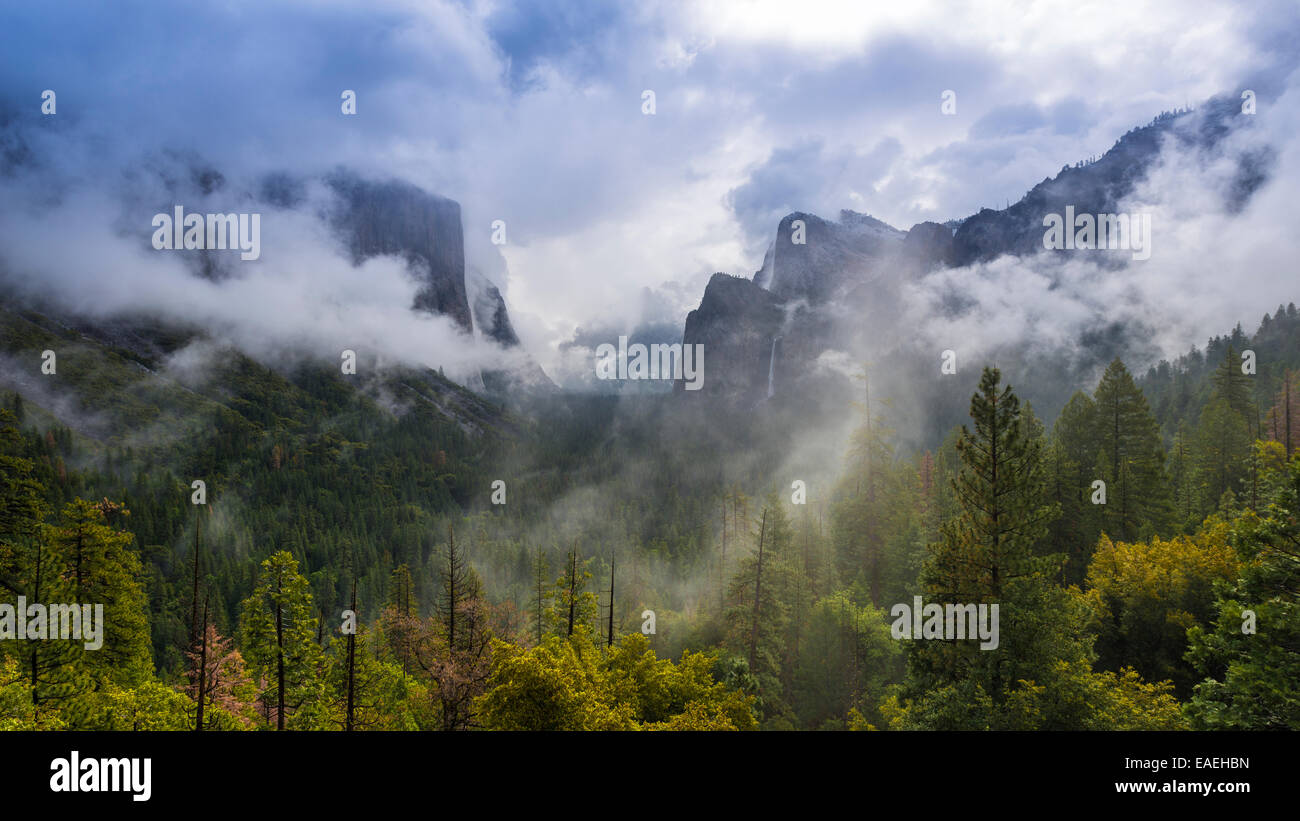 Trees mountains yosemite national hi-res stock photography and images ...