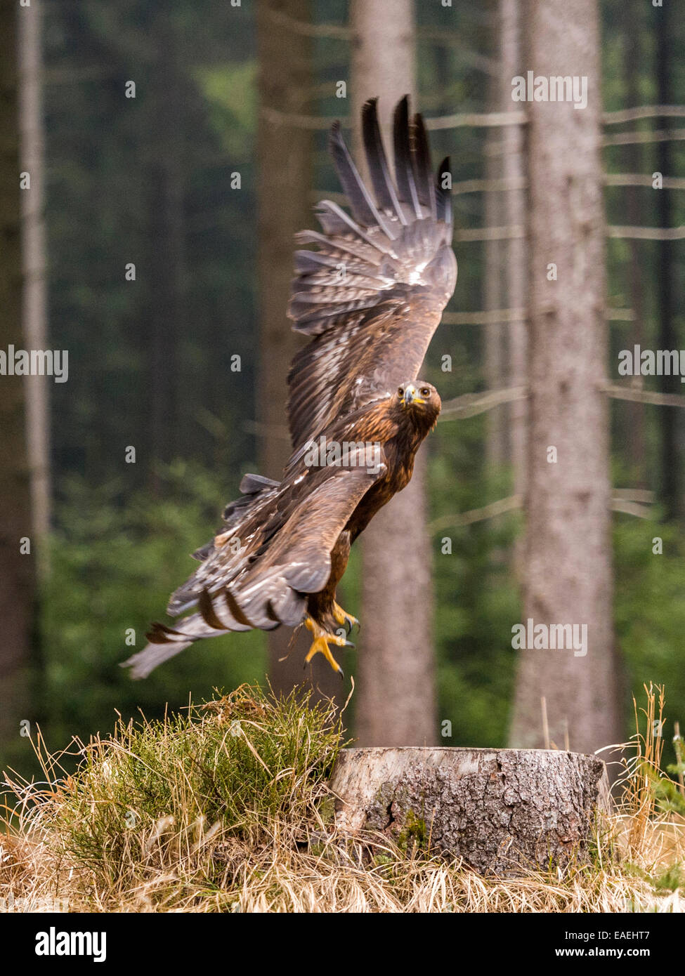 Turning wings hi-res stock photography and images - Alamy