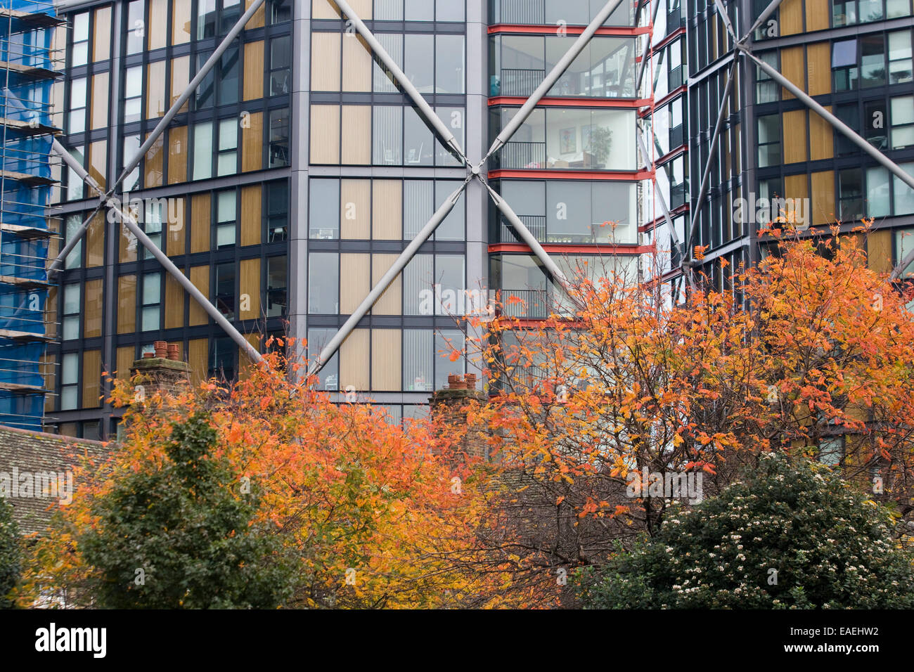 Leaves changing on the trees for the Fall next to Glass building London ...