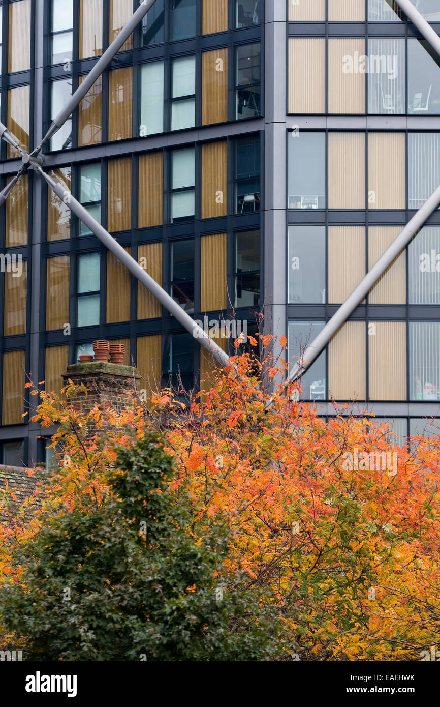 Leaves changing on the trees for the Fall next to Glass building London ...