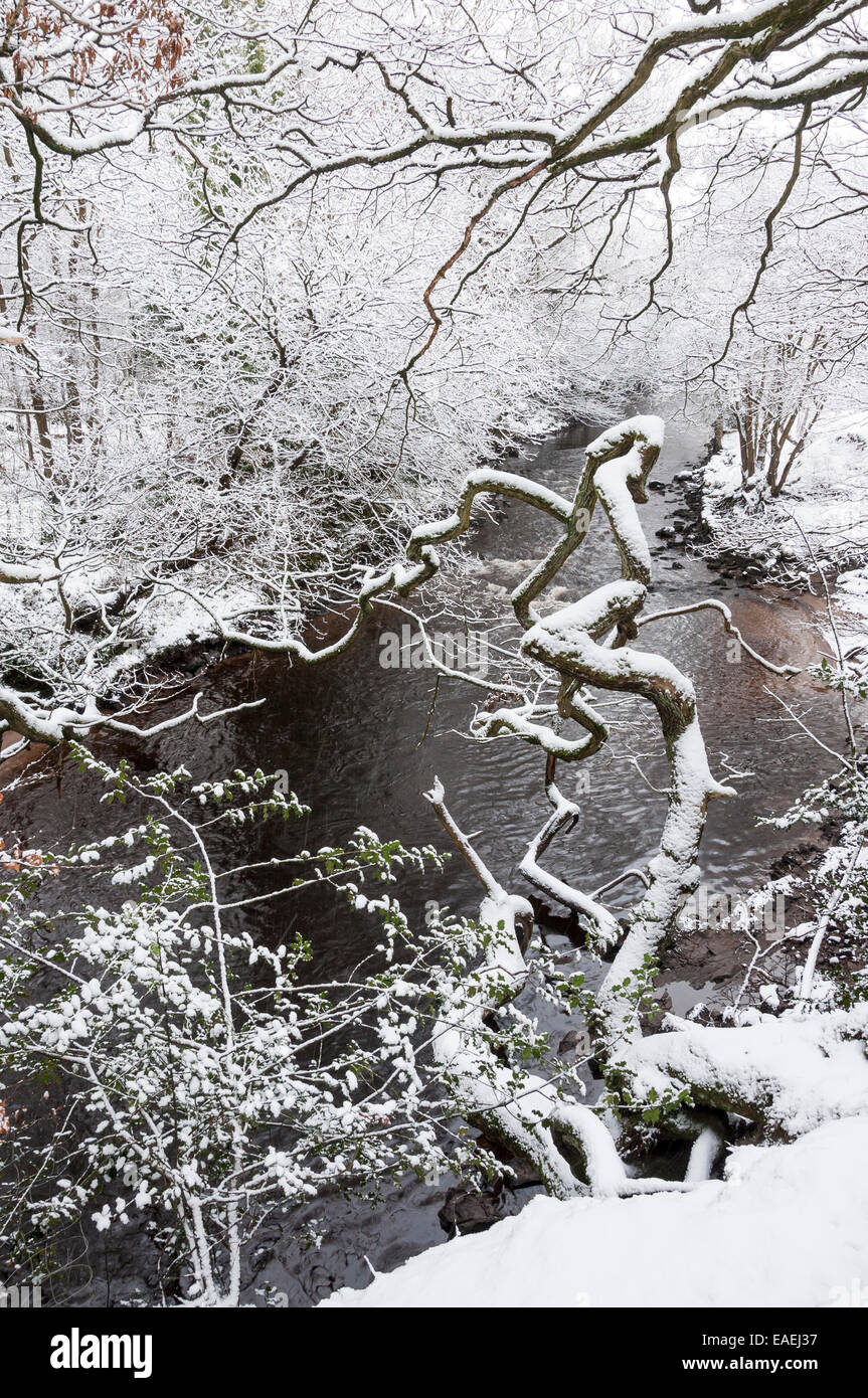 Etherow river hi-res stock photography and images - Alamy
