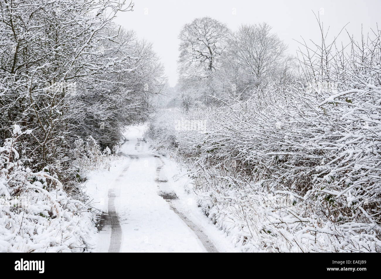 Snowy English country lane near the village of Broadbottom. Snow ...