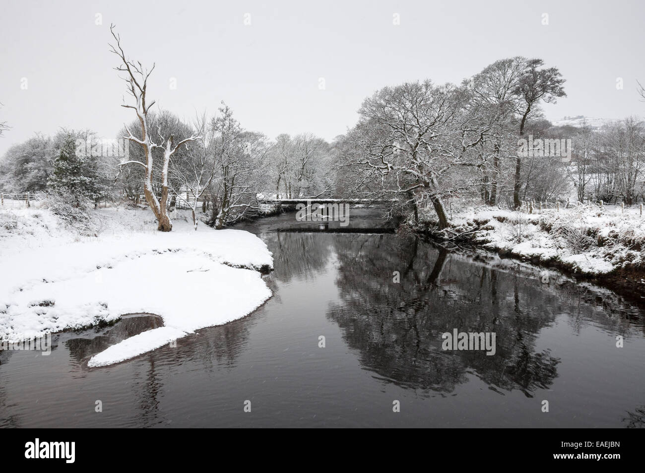 Reflections Of Snow Covered Trees In Water High Resolution Stock ...