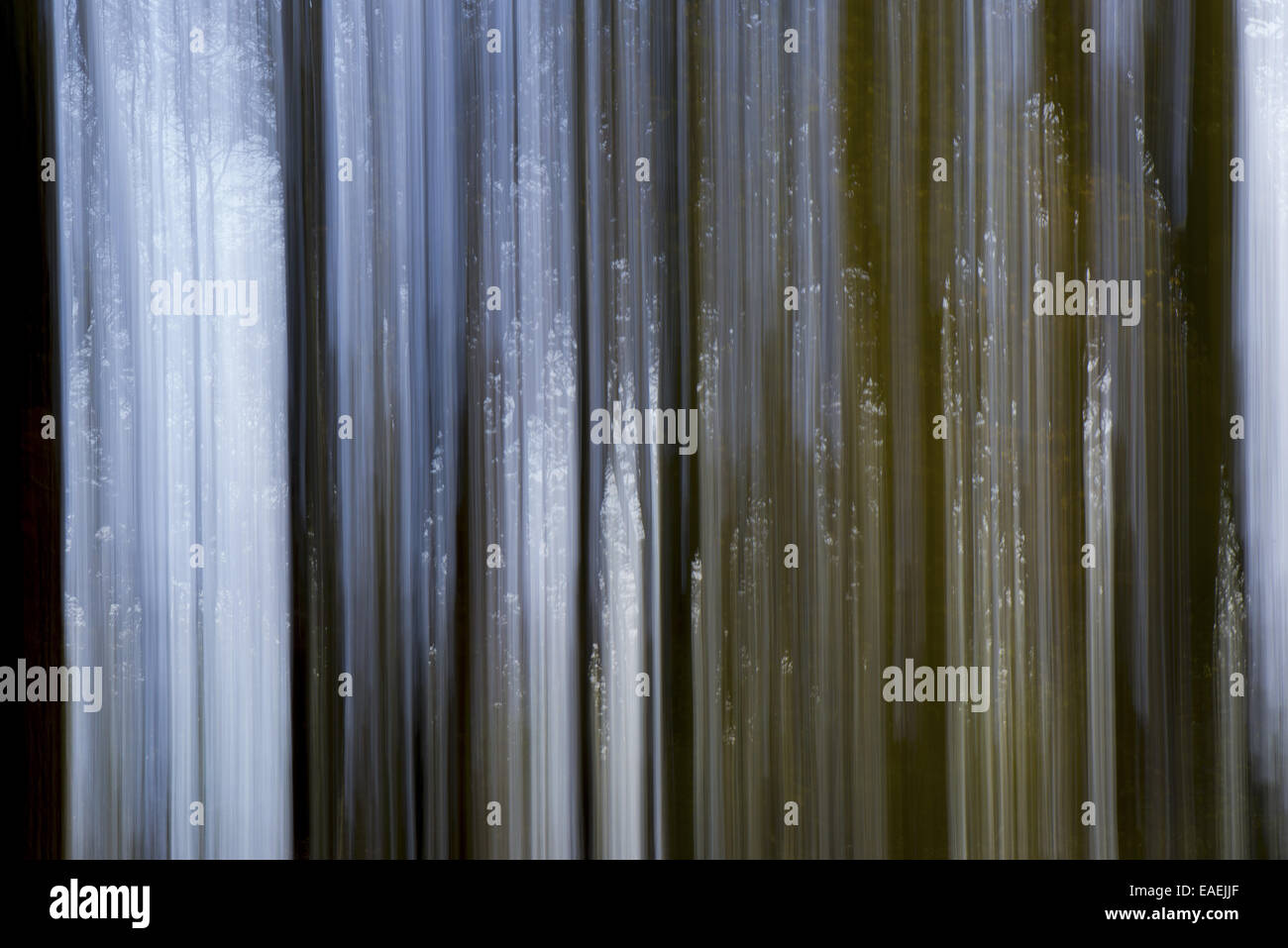 Wienerwald vienna hi-res stock photography and images - Alamy