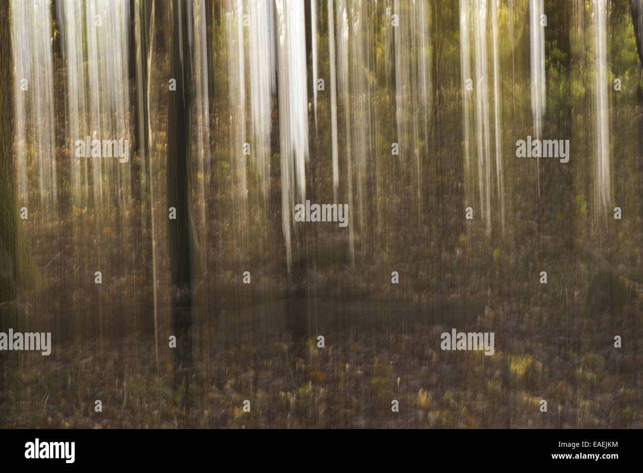 Wienerwald vienna hi-res stock photography and images - Alamy